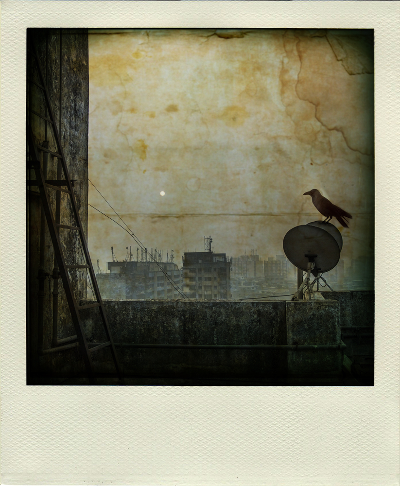 FLYING SPIRITS IN FRAGMENTS OF TIME | VANJA KARAS